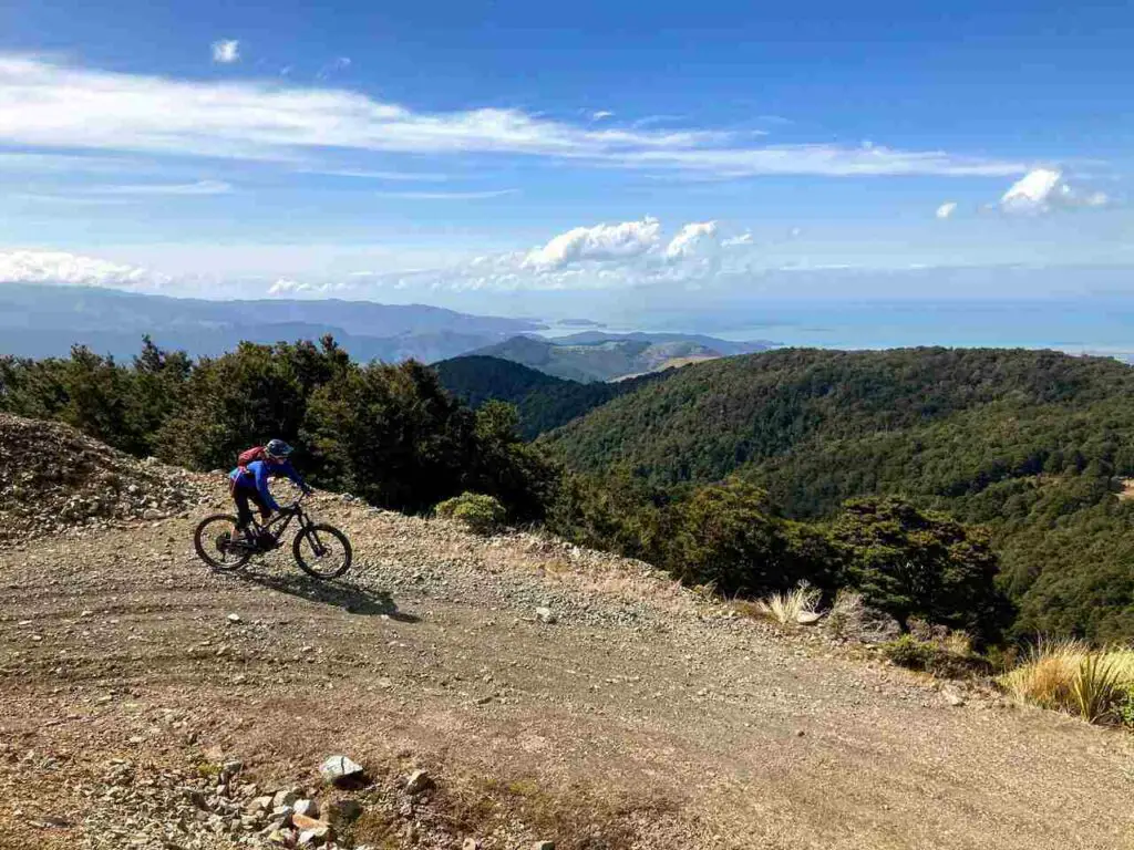 Race Face Ambush Knee Pad Review- Tried, Tested and Reviewed